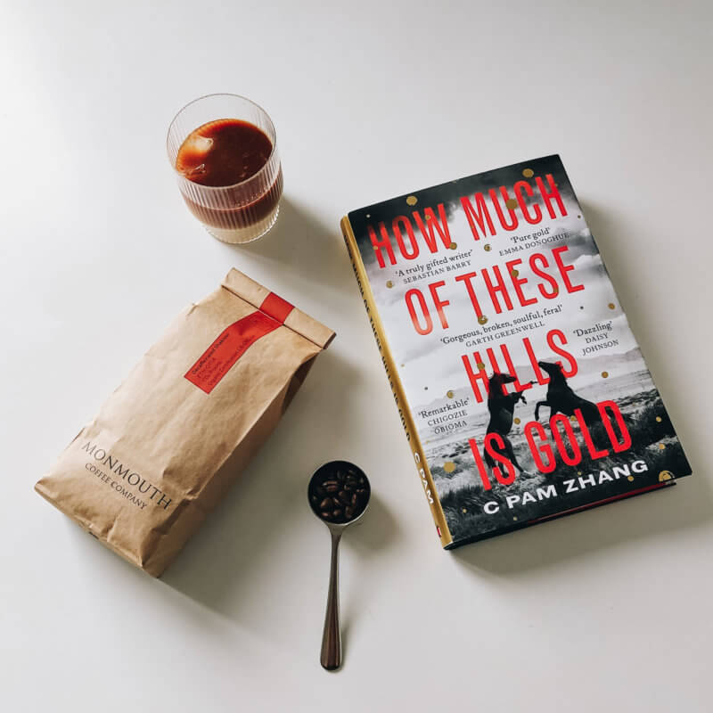 (Book Review / 感想) How Much of These Hills Is Gold / C Pam Zhang ...